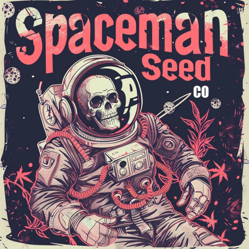 Sour Diesel Bx2 S1- 10 seeds - Spaceman Seed Co